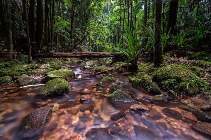 Creekside Eco Cabin "Wattle" - Nimbin