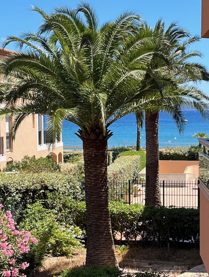 App. à L'exocet à 50m De La Plage - Cavalaire-sur-Mer