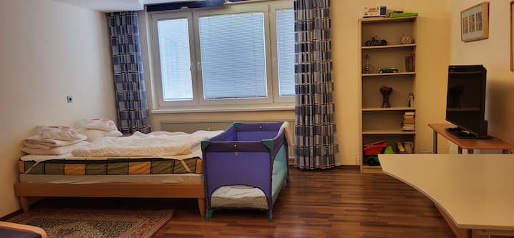 Gemütliche Wohnung In Wien - Vienna Central Station