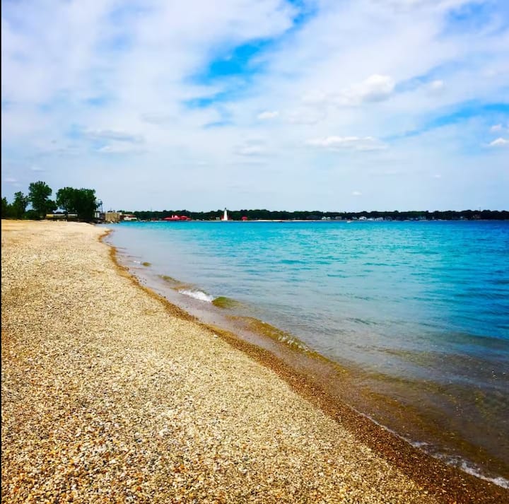 The Art Cove - Sarnia