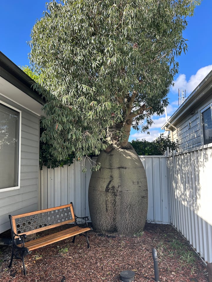 21a Boab Cottage - Waratah