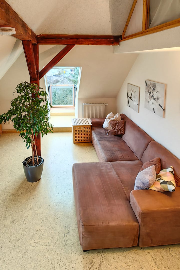 Dg-wohnung Mit Gartenblick | Allergikerfreundlich - Erfurt