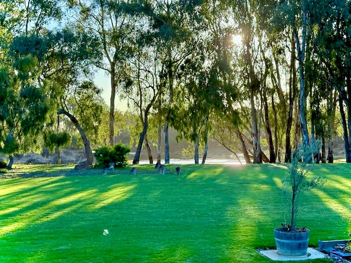 Riverfront Family Cabin & Pool - Echuca