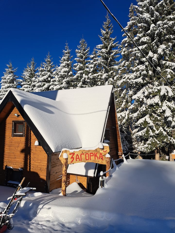 Brvnara D - Kopaonik