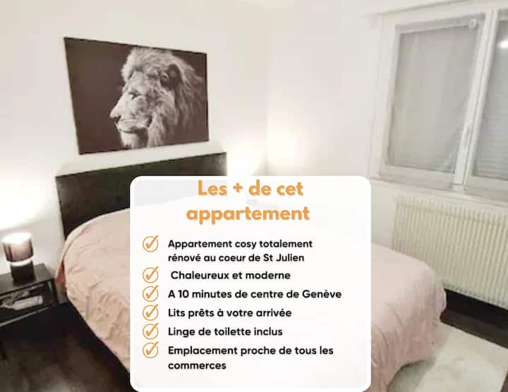Escapade Confort Au Cœur De La Ville Cosy&moderne - Saint-Julien-en-Genevois