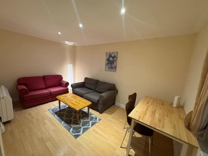 Cozy 1 Bedroom Apt In The Center - Dublin