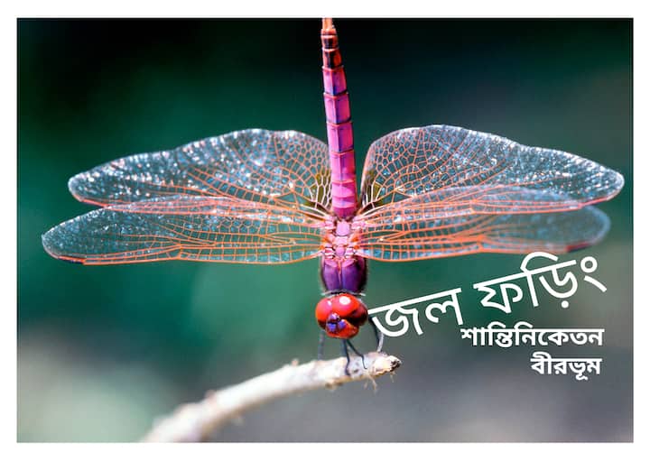 Jolforing Home Stay - Santiniketan