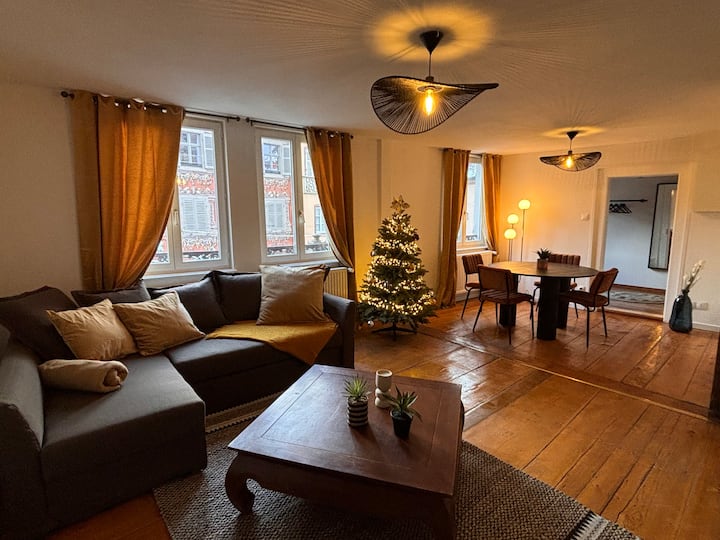 Appartement Au Cœur De Sélestat - Kintzheim