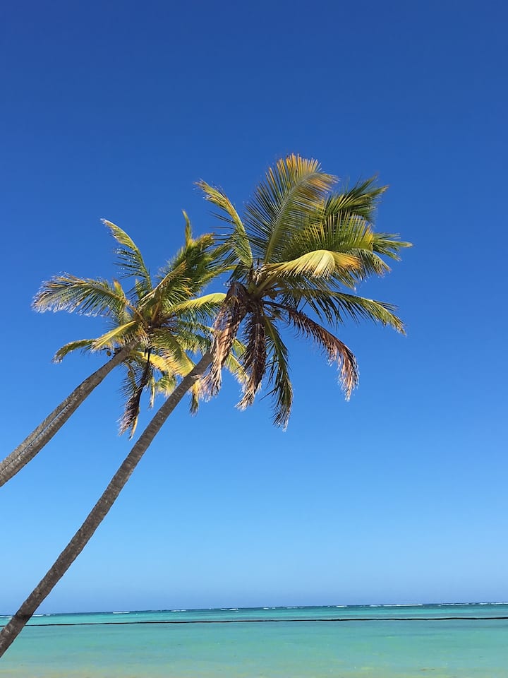 Cozy Tropical Condo - 1 Block Off The Beach - Punta Cana