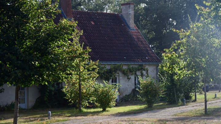 Maison Rénovée 2 Chambres 4 Pers - Sainte-Maure-de-Touraine