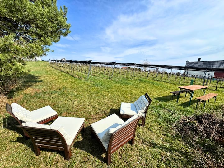 Kellerstöckl - Zur Weinrebe 2 - Burgenland