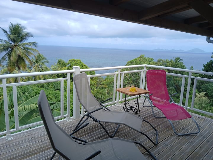 L'hibiscus Jaune - Guadeloupe