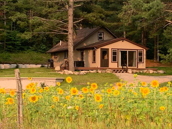 Nature Lover's Cabin - Hartwick Pines State Park, Grayling