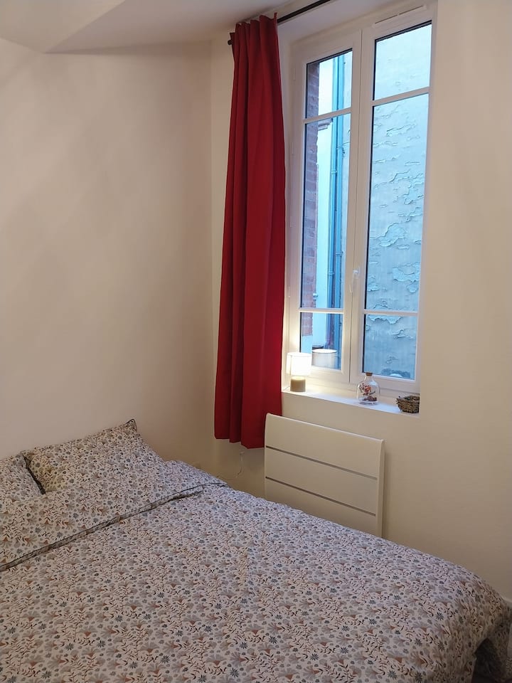 Studio Hyper Central Et Cosy - Haute-Garonne