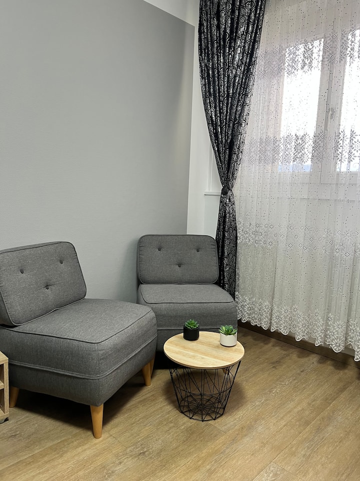 Magnifique Appartement Cosy 3pers Parking Gratuit - Obernai