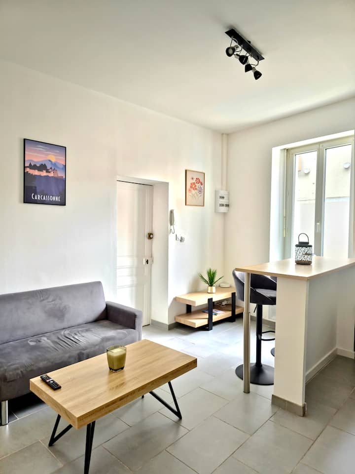 Tour Ouest - T2 Entre Cité Médiévale Et Bastide - Carcassonne