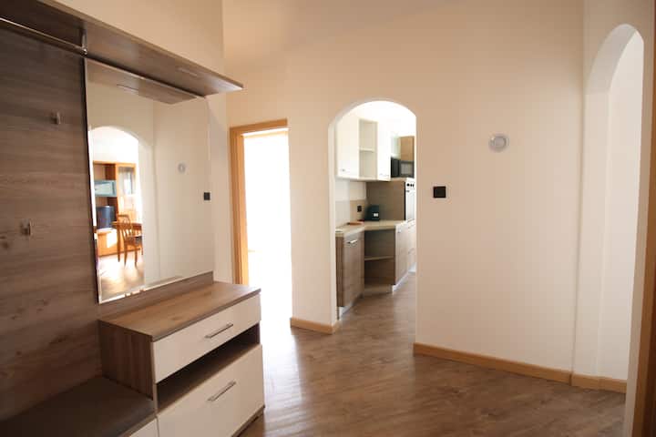 Appartamento Predazzo Centro - Predazzo