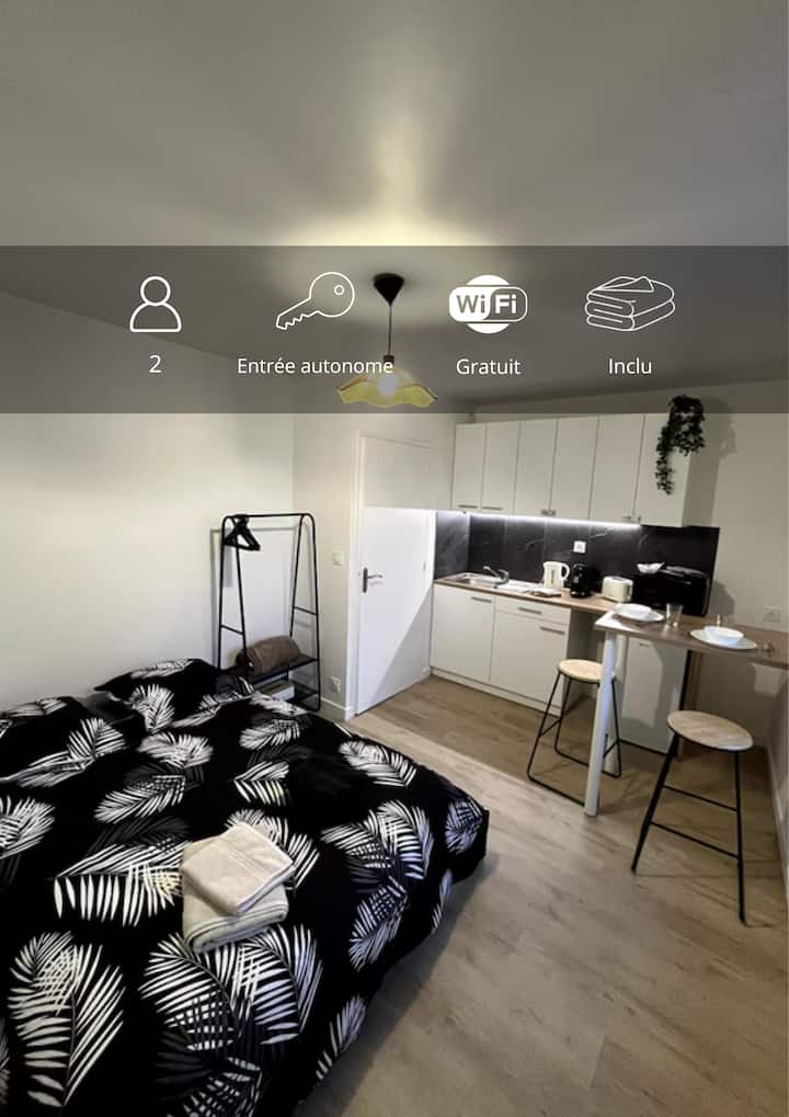 Appartement Cosy En Hyper Centre - ibis Styles Laval Centre Gare