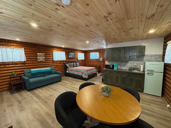 Princess And The Frog Log Cabin - Cambridge, OH