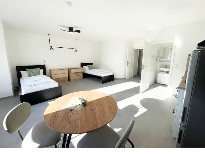 Easyone Apartments I Neu! Schickes 1 Zi. Apartment - Frankenthal (Pfalz)