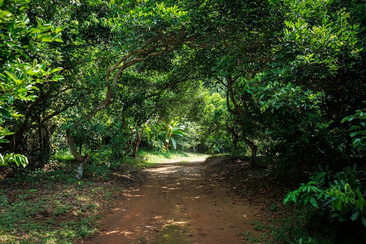 Serenity Farm By Granary Stays - 1hr From Kochi - Vaikom