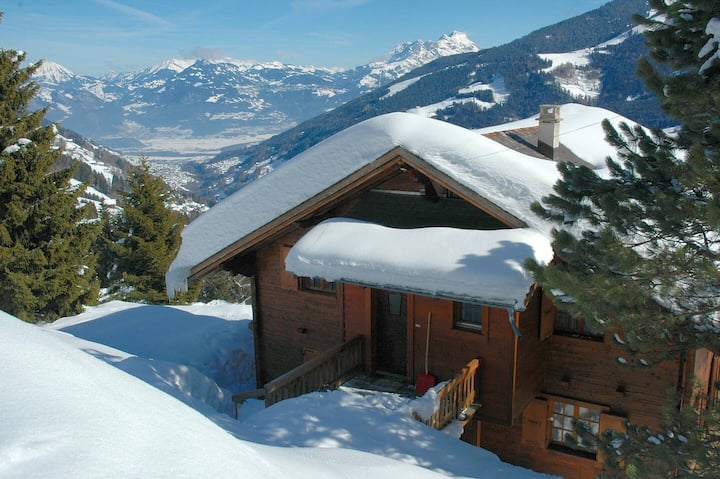 L'observatoire Des Alpes, Les Crosets - Les Crosets