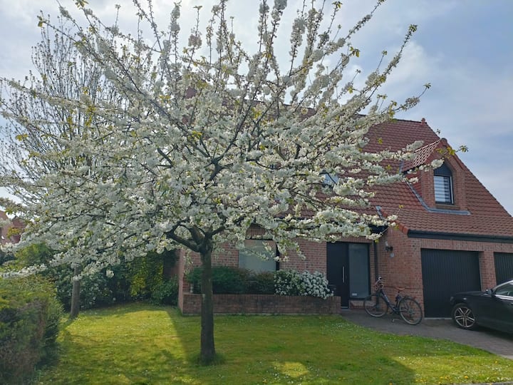 Maison Individuelle - Villeneuve-d'Ascq