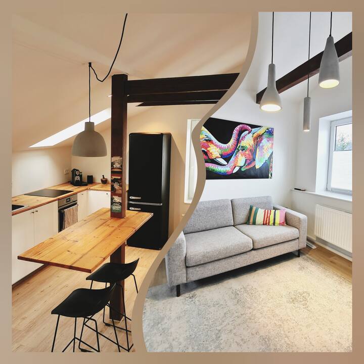 Moderne Wohnung In Altbau - Elmshorn