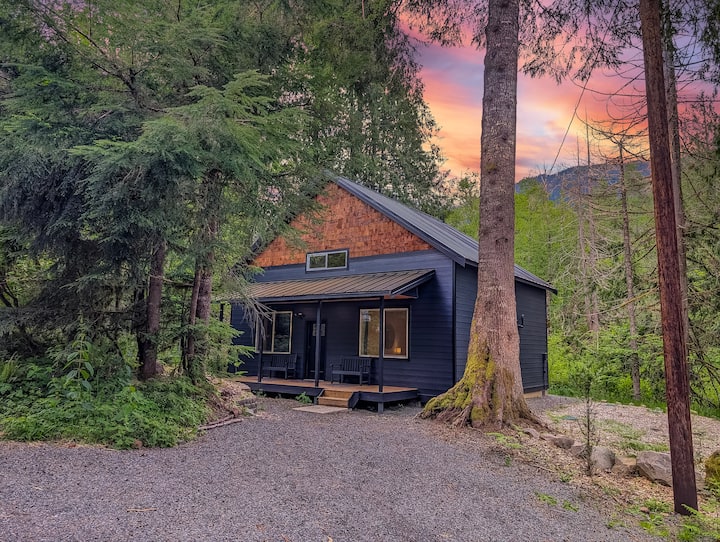 Dave’s In Paradise | Hot Tub+a/c | Near Mt Rainier - Ashford, WA