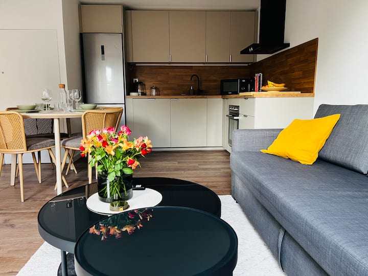 Cosy Appartement Duplex Sand - Proche Europa-park - Erstein