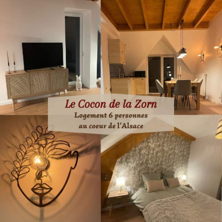 Le Cocon De La Zorn - Saverne - Marmoutier