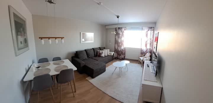 66 ° Northern Latitude Escape - Rovaniemi