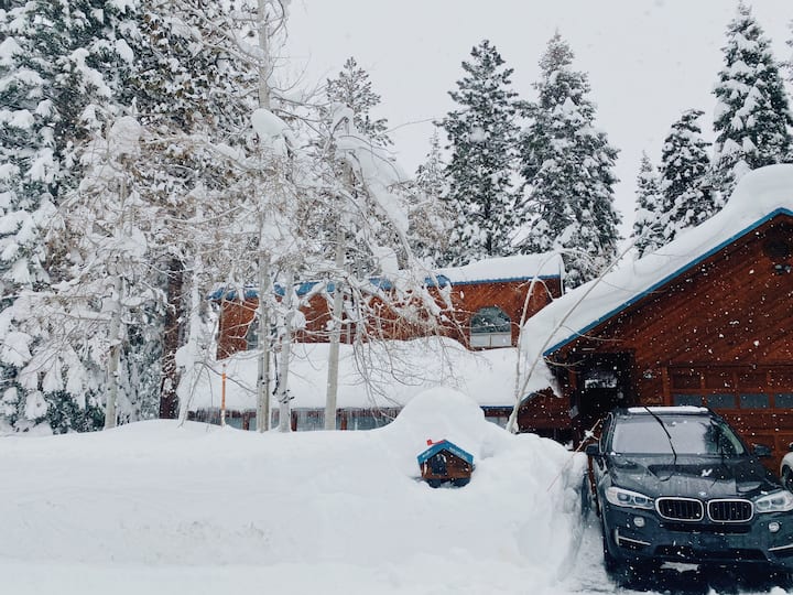 Beary Cozy Cabin - Truckee, CA