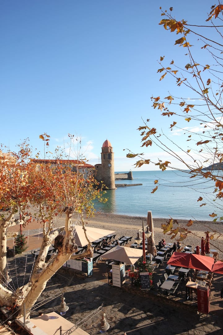 Bel Appartement Avec Terrasse En Bord De Mer - Argelès-sur-Mer