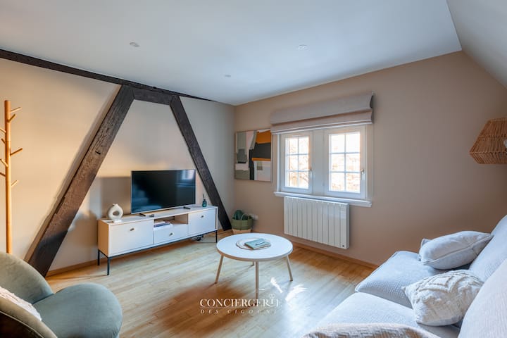 Appartement Duplex Pistache - Au Cœur De Colmar - 콜마르