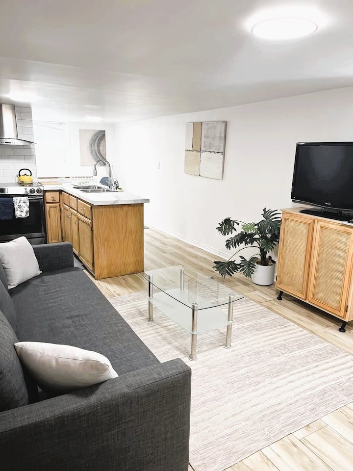 Full Basement With Private Bathroom And Kitchen - Mississauga