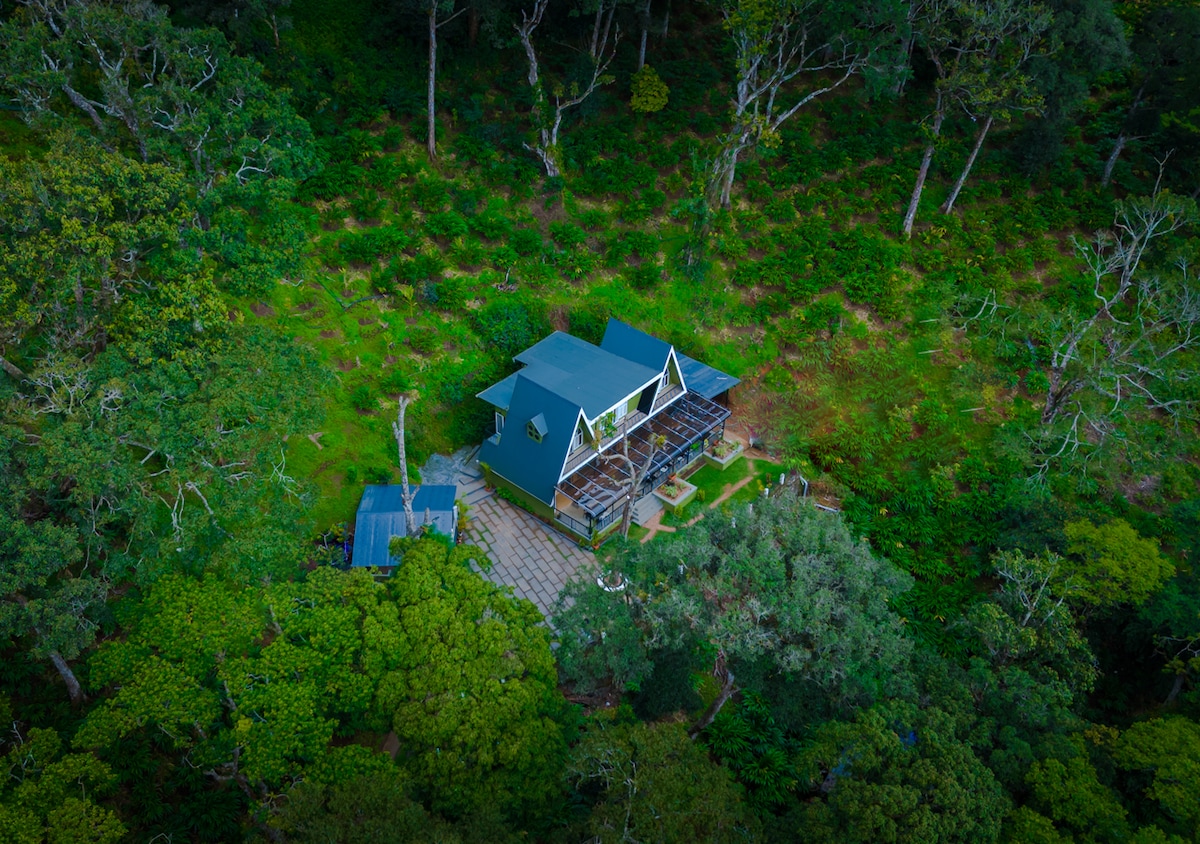 Villa avec toit en A dans une plantation de cardamome luxuriante ...