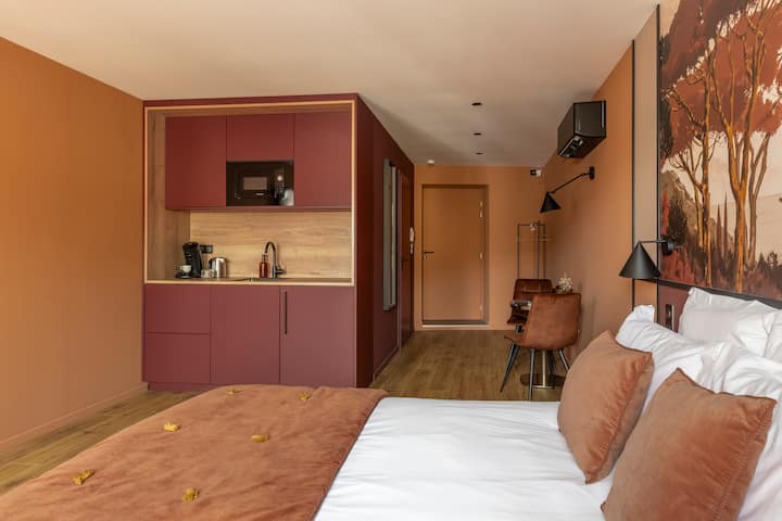 Studio Terracotta Meublé De Tourisme 2 Pers - Altkirch