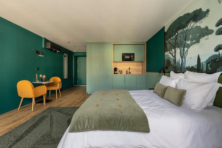 Studio Vert Meublé De Tourisme 2 Personnes - Altkirch