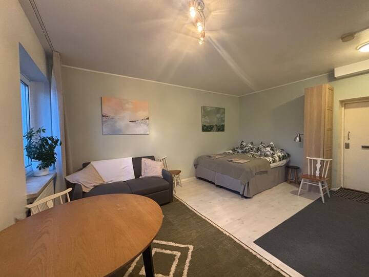 Cosy Studio In Porvoo Center - Porvoo