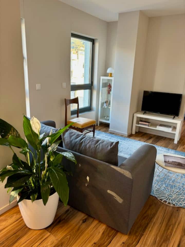 Bluebird
Apartamento T1 - Guimaraes