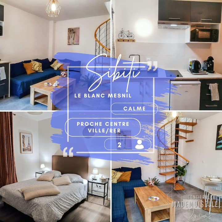 Appartement Duplex, Calme, Cosy, 1 Chambre - Le Blanc-Mesnil