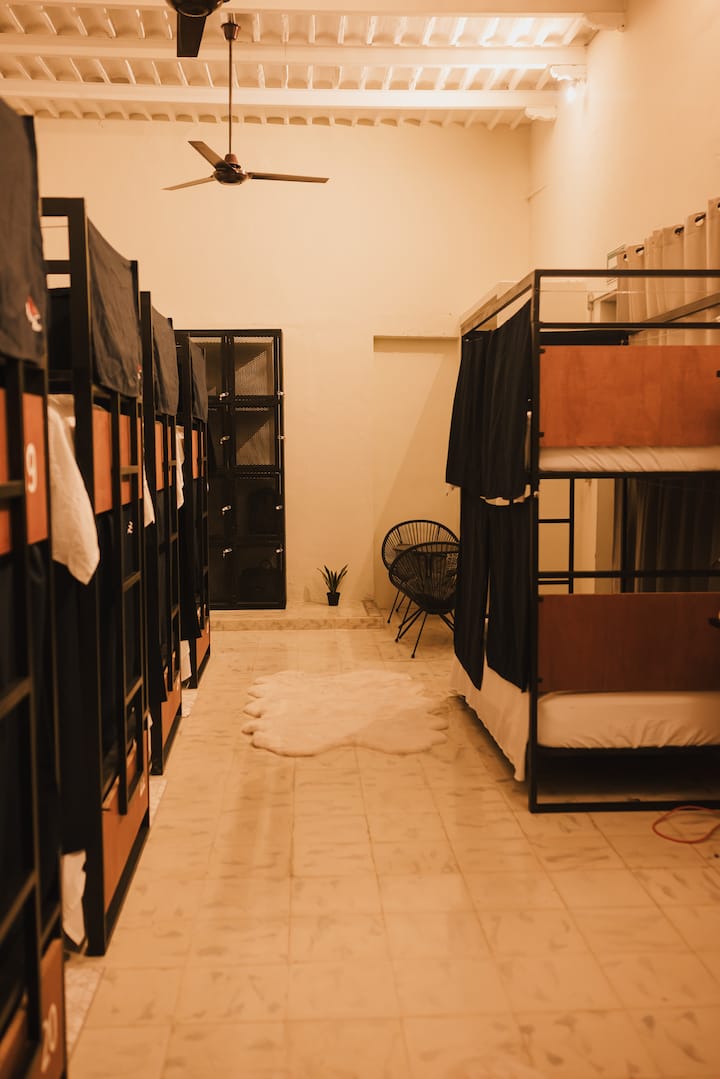 Cama En Habitación Compartida. - Mérida
