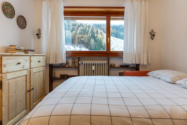 Fiorrancino, Mono Sulle Piste Di Fondo Grande - Folgaria