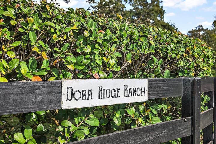 Dora Ridge Ranch - Mount Dora, FL
