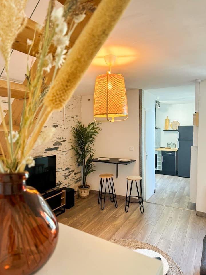 Charmant  Duplex  Lumineux - Angers
