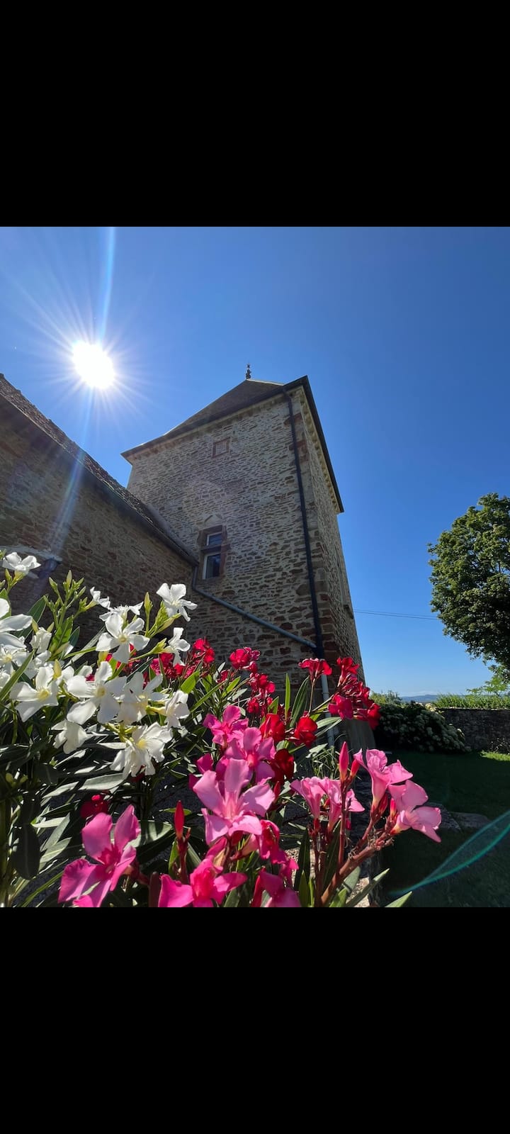 "La Saugeraie" - Proche Tournus -Netflix Wifi - Saône-et-Loire