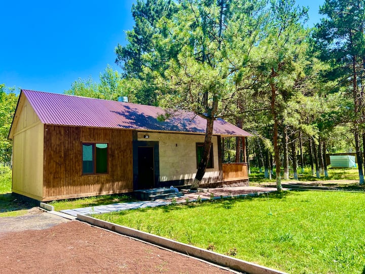 Milenium Villa On Sevan Beach 2 - Armenia