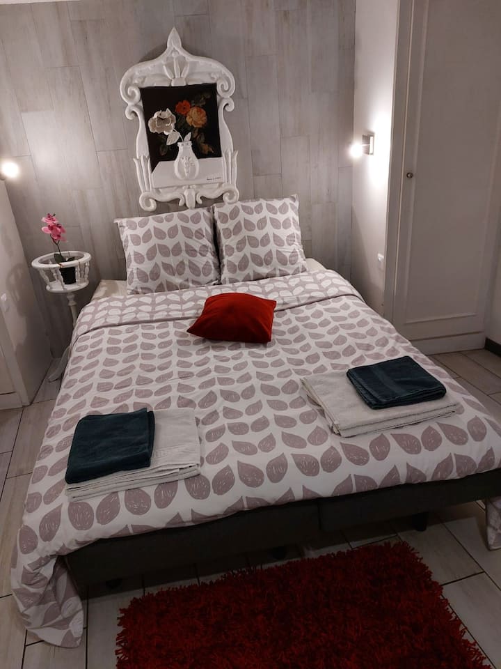 Superbe Appartement Champs-elysées - Paris