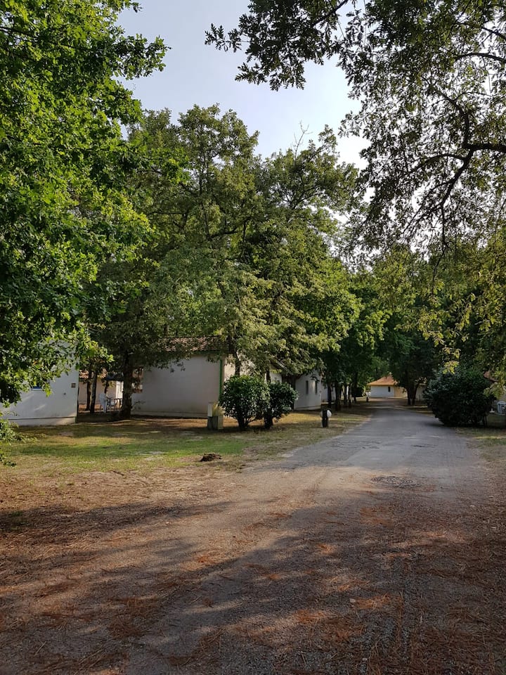Maison De Pêcheur Dans Domaine Boisé - Andernos-les-Bains